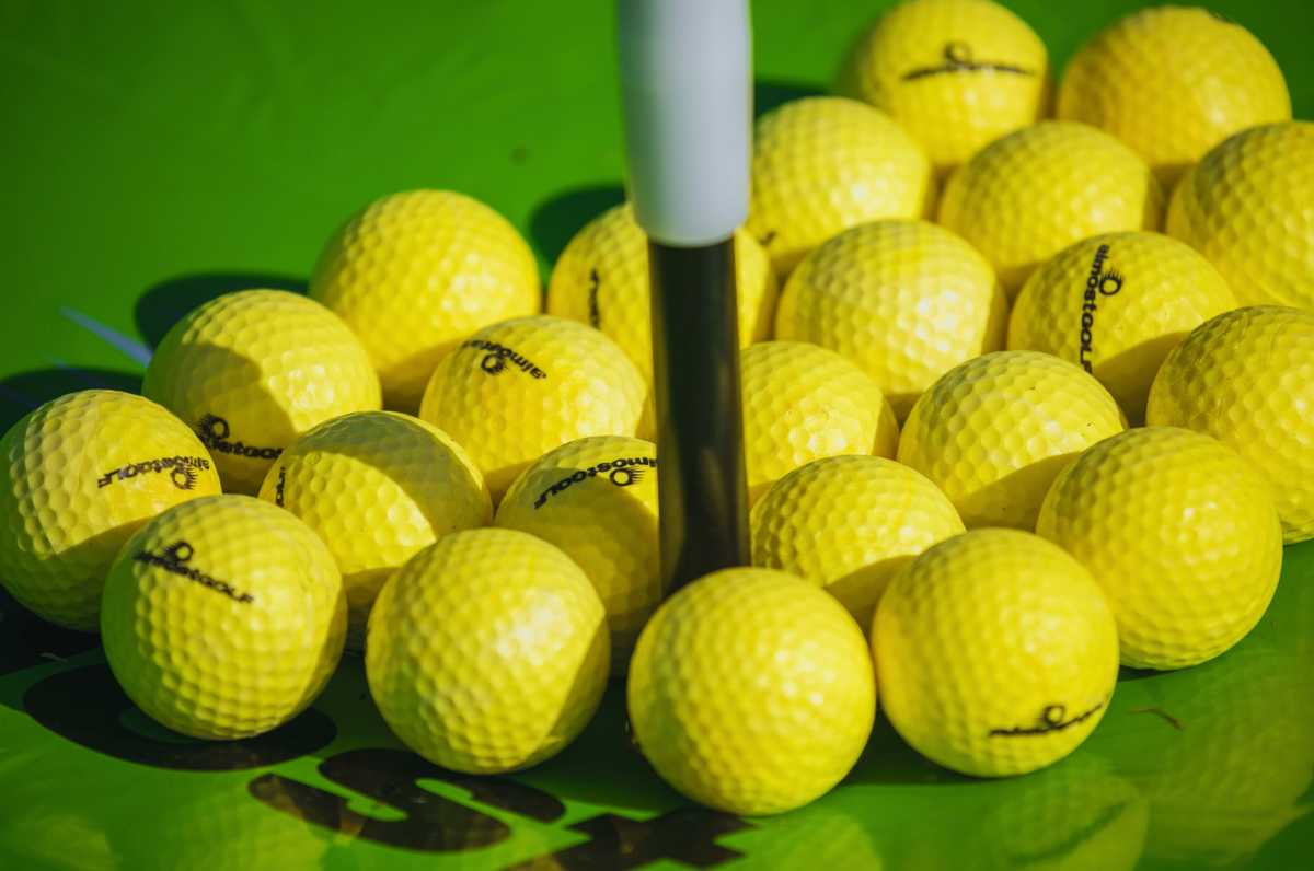 #1 Practice Golf Ball l Play Anywhere with almostGOLF